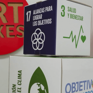 Cubos ODS: qué son y cómo utilizar los cubos de cartón para tu negocio